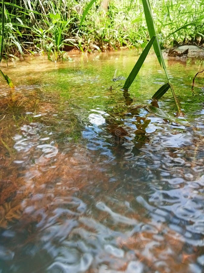 A Small River Whose Water is Very Clear is Receding Due To the Dry ...