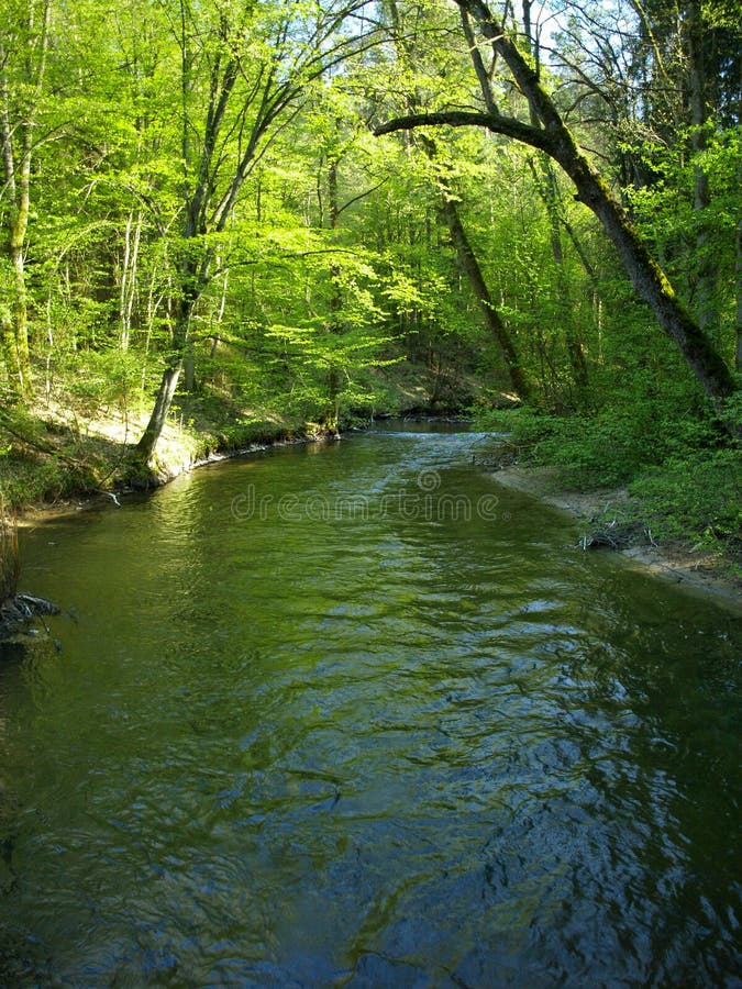 A small river in the woods stock image. Image of small - 12484659