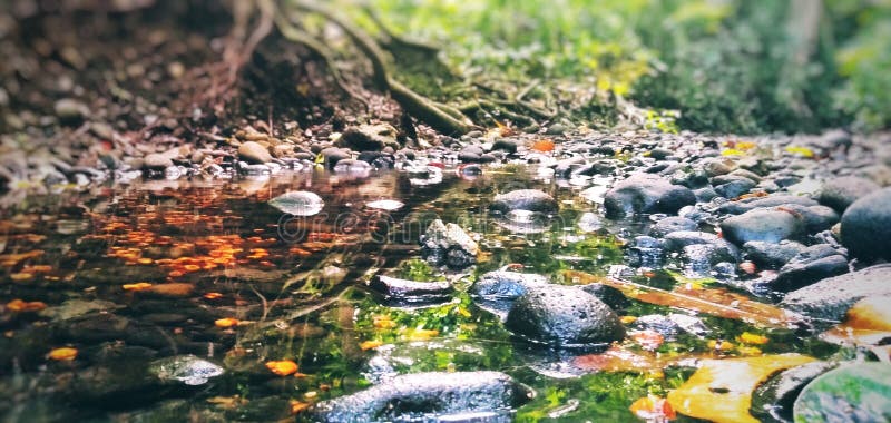 Small riverside rocks stock image. Image of riverside - 274639673