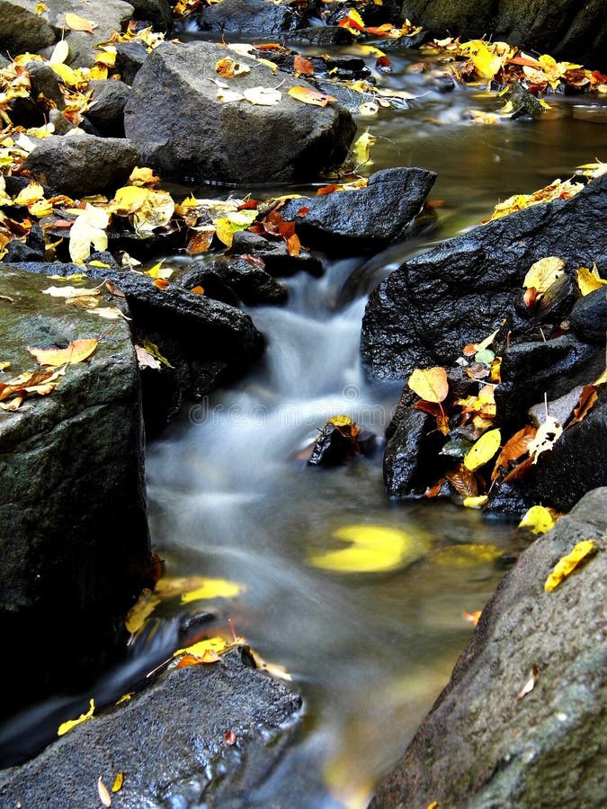 Small Rivulet in Nova Bana, Slovakia Stock Photo - Image of water ...
