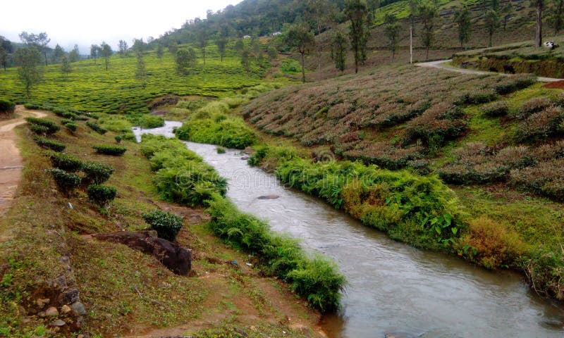 1,767 Small Rivulet Stock Photos - Free & Royalty-Free Stock Photos ...