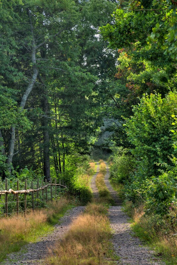 Small road in the nature stock photo. Image of tiny, autumn - 97761348