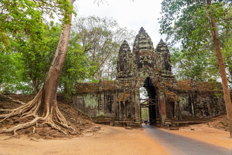 3,049 Jungle Gate Stock Photos - Free & Royalty-Free Stock Photos from ...