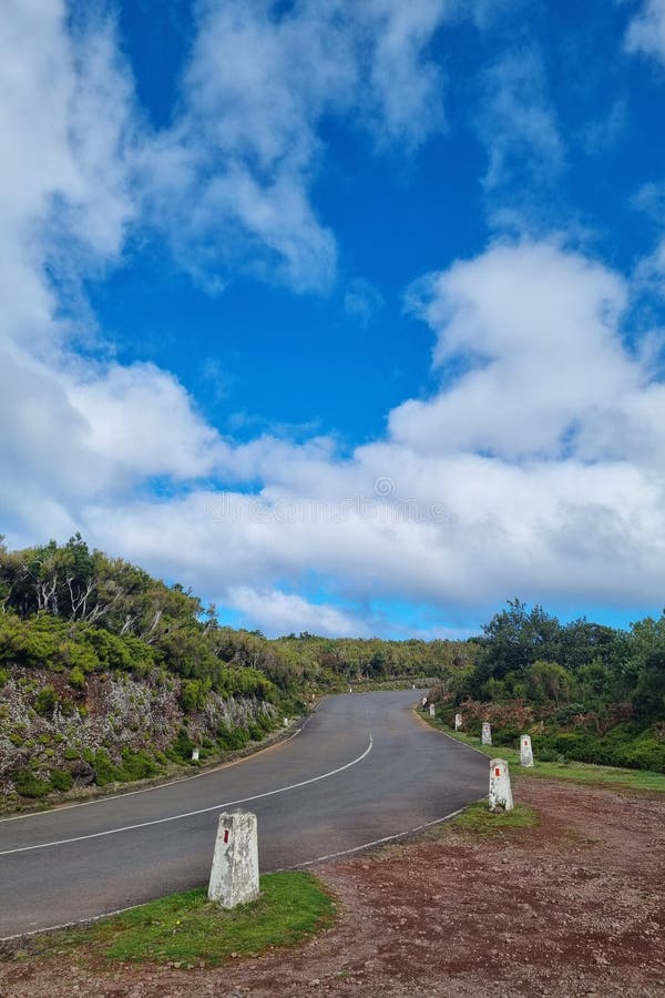 A Small Road on the Island Along Green Bushes and Trees. Stock Image ...