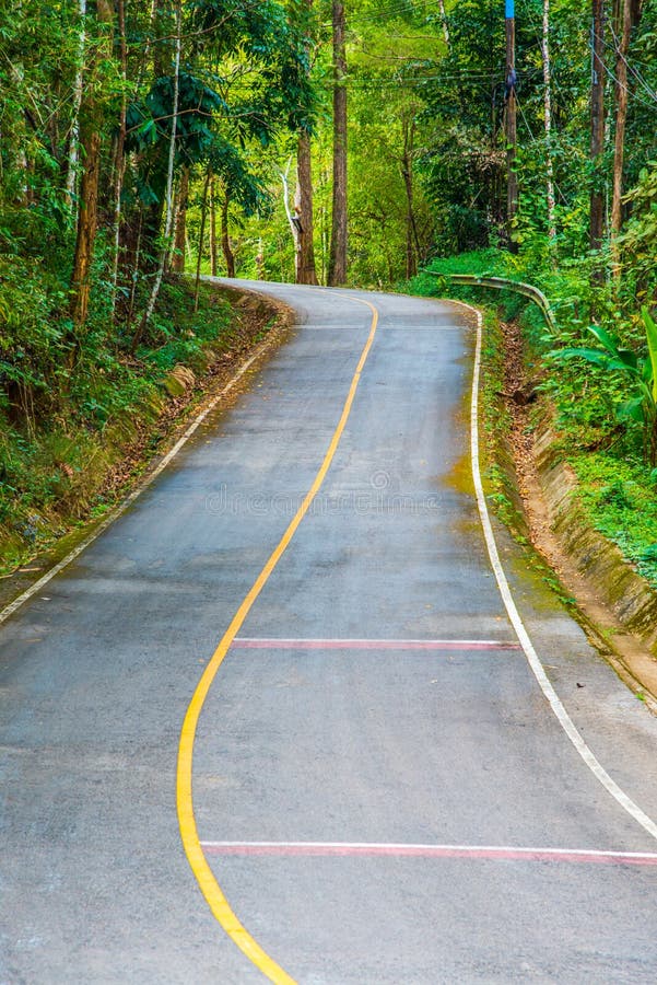 Small Road at Mae Tam Reservoir Stock Image - Image of thailand, nature ...
