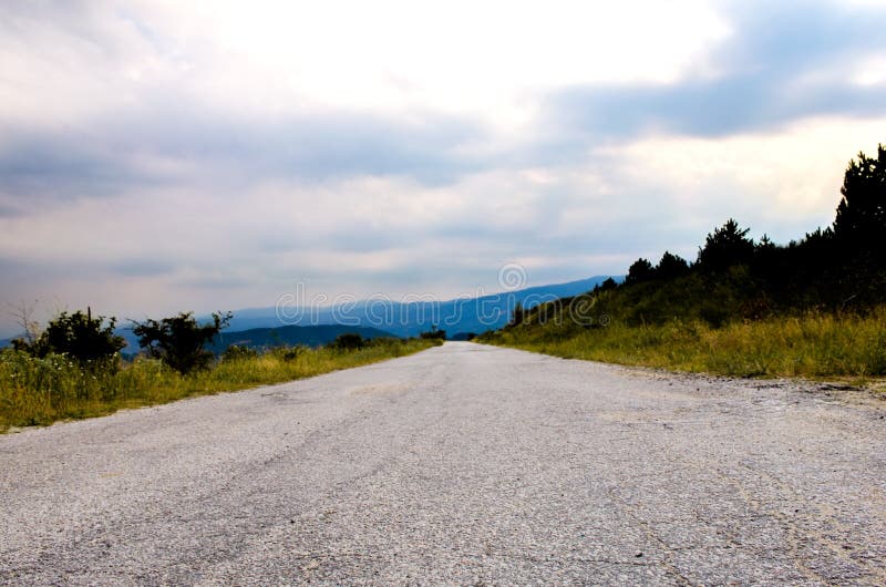 Small road in the nature stock image. Image of path, branches - 98631773