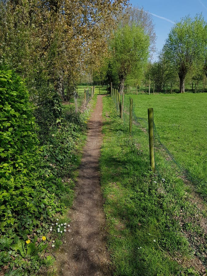 Small road stock photo. Image of tree, small, green - 115158546