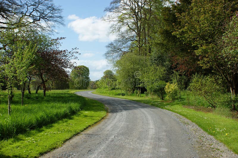 Small road in park stock image. Image of road, walkpath - 5351773