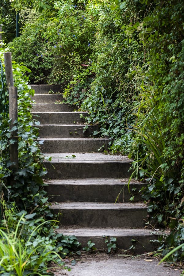 Small Road in the Park with Stairs Stock Photo - Image of colorful ...