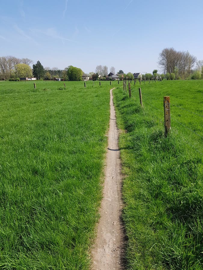 Small road stock image. Image of road, green, nature - 115158519