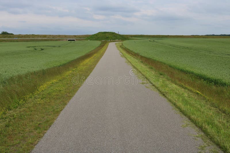 Small road in wheat field. stock image. Image of nature - 153020679