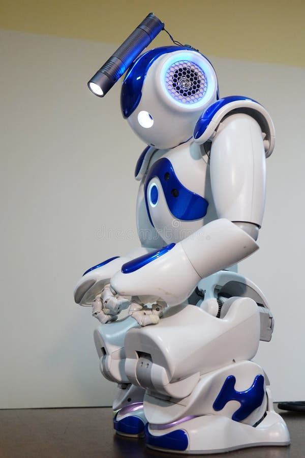 A Small Robot with a Human Face and a Humanoid Body. Artificial ...