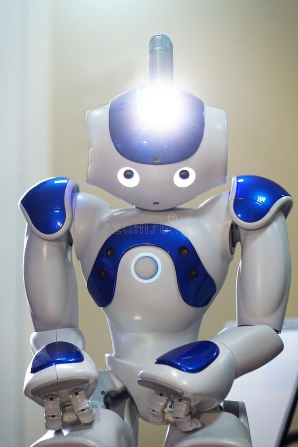 A Small Robot with a Human Face and a Humanoid Body. Artificial ...