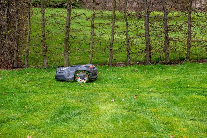 A Robotic Lawn Mower in Spring on a Meadow Stock Photo - Image of ...