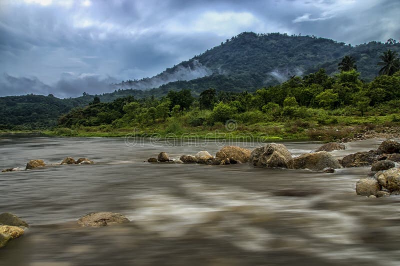 Small Rock Brook in Tropical Forest. Stock Photo - Image of small ...