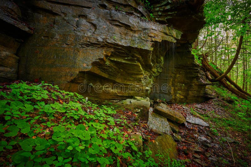 Small Rock Cliff with Running Water from a Spring Stock Photo - Image ...