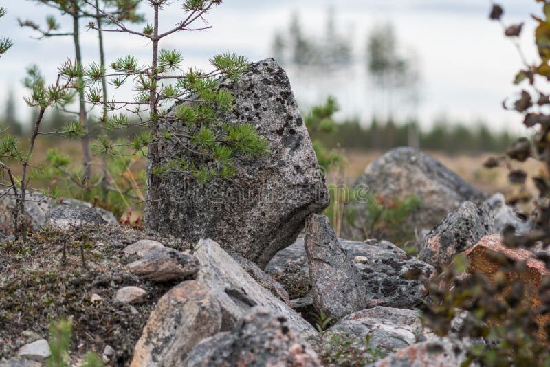 Help concept, team work stock photo. Image of work, rock - 159354130