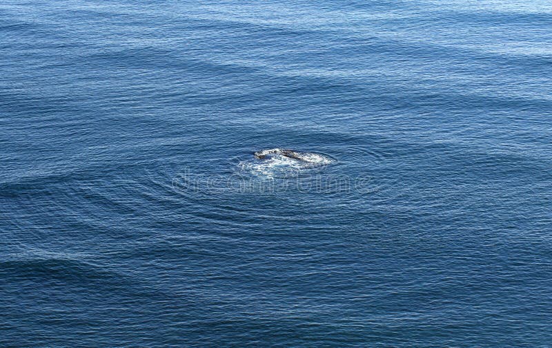 The Small Rock in the Ocean Stock Photo - Image of discovery, beach ...