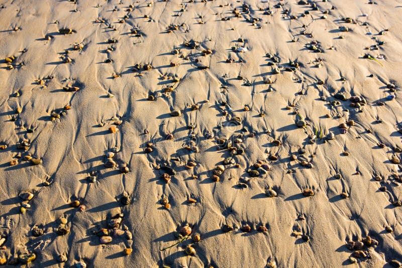 Small Rocks Piled on a Boulder Near a Stream Stock Photo - Image of ...