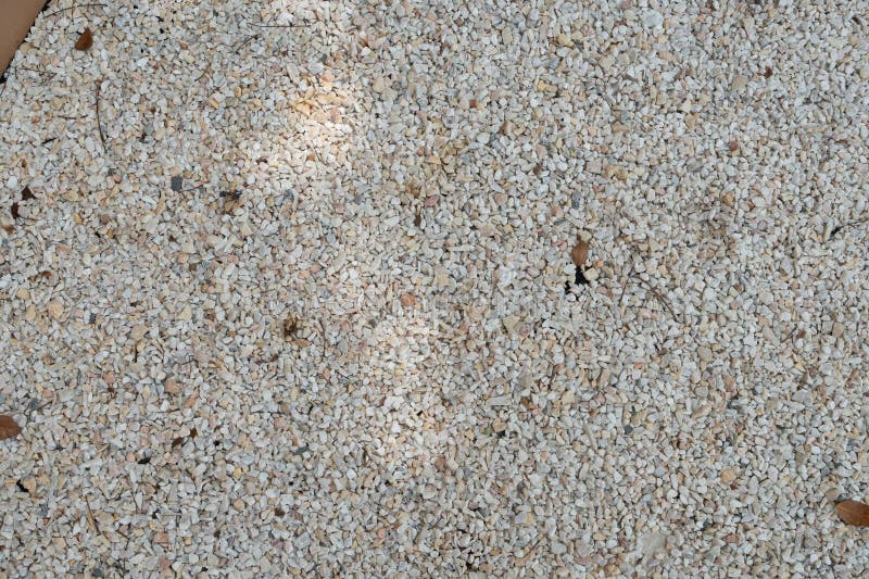 Small Rocks Ground Texture and Background. Background of Gravel Stock ...