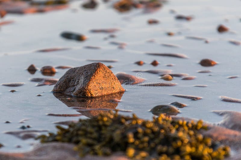 Small Rocks Scattered on Beach Sand Close Up Stock Image - Image of ...