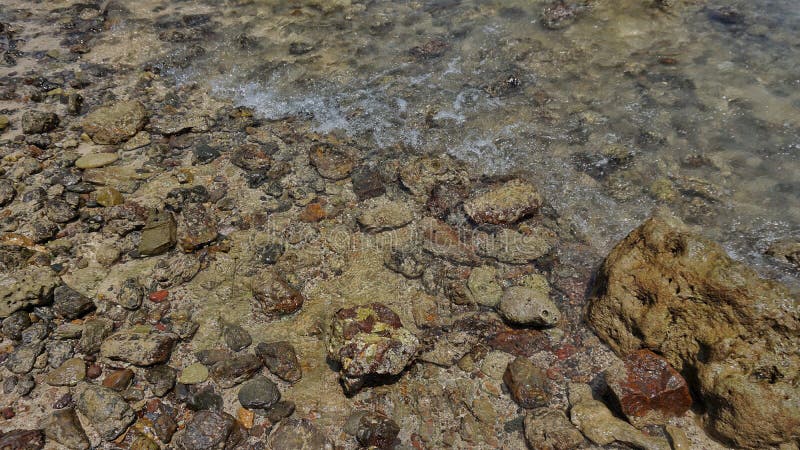 Small rocks in the sea stock photo. Image of clearwater - 143762124