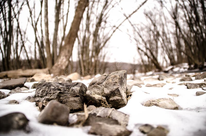 Small rocks in snow forest stock image. Image of forest - 43252431