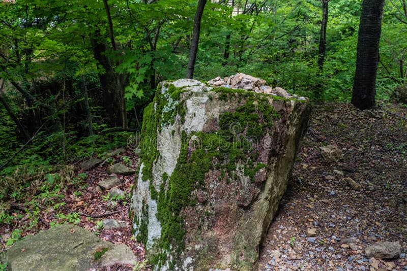 Small Rocks and Stones on Top of Moss Covered Boulder Stock Photo ...