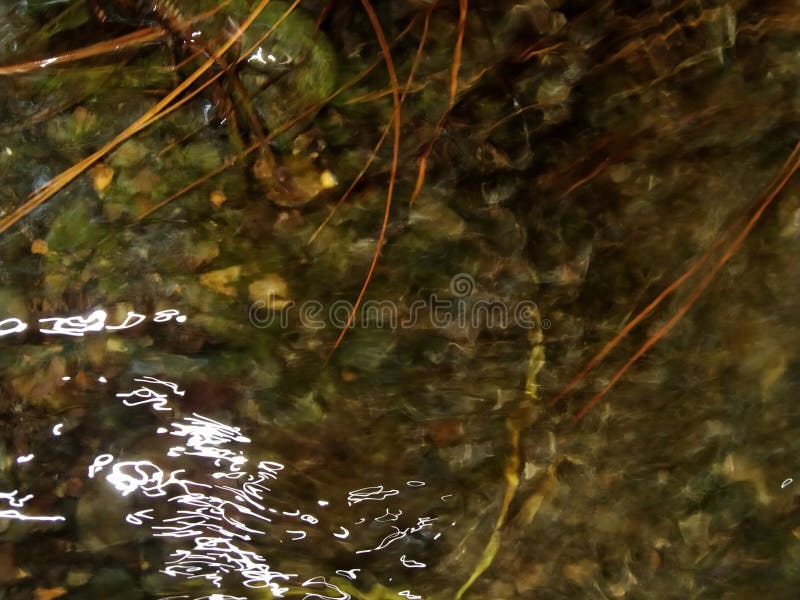 Small Rocks Visible through the Clear Water in the River Stock Image ...