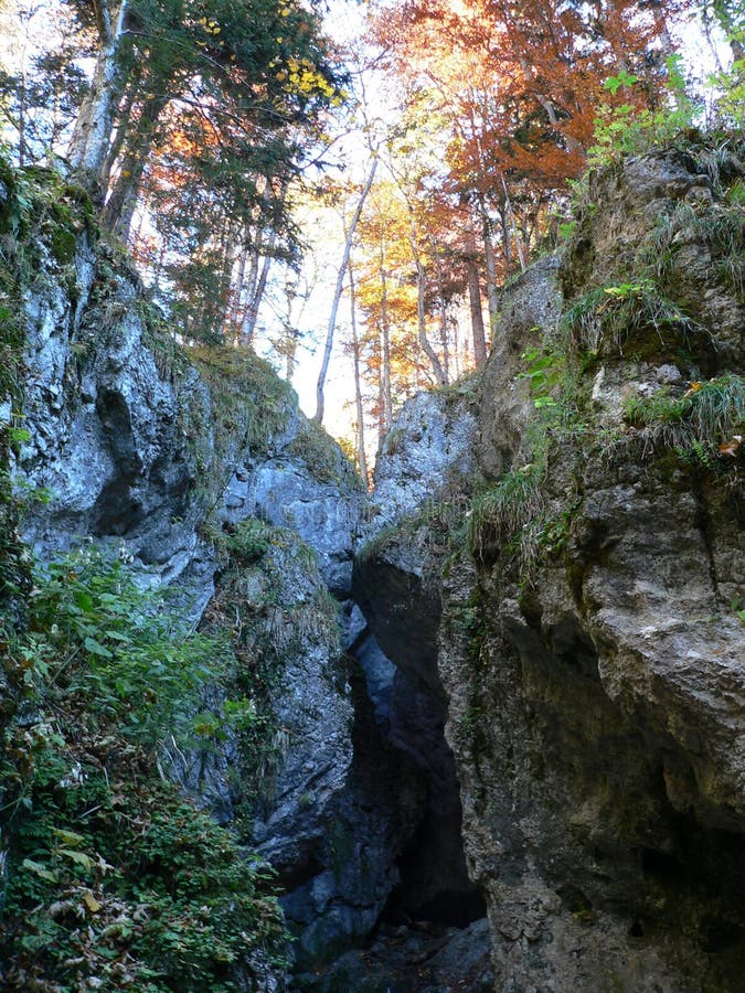 Small rocky valley stock image. Image of forrest, trees - 29281267
