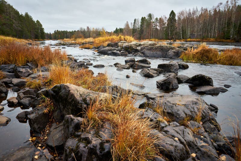 Small and Rocky Water Stream Surrounded by Trees on a Sunny Day Stock ...