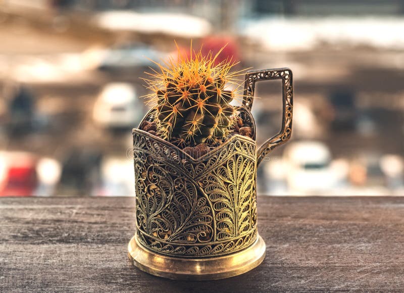 Small Round Cacti in a Metal Cup Holder Stock Photo - Image of green ...