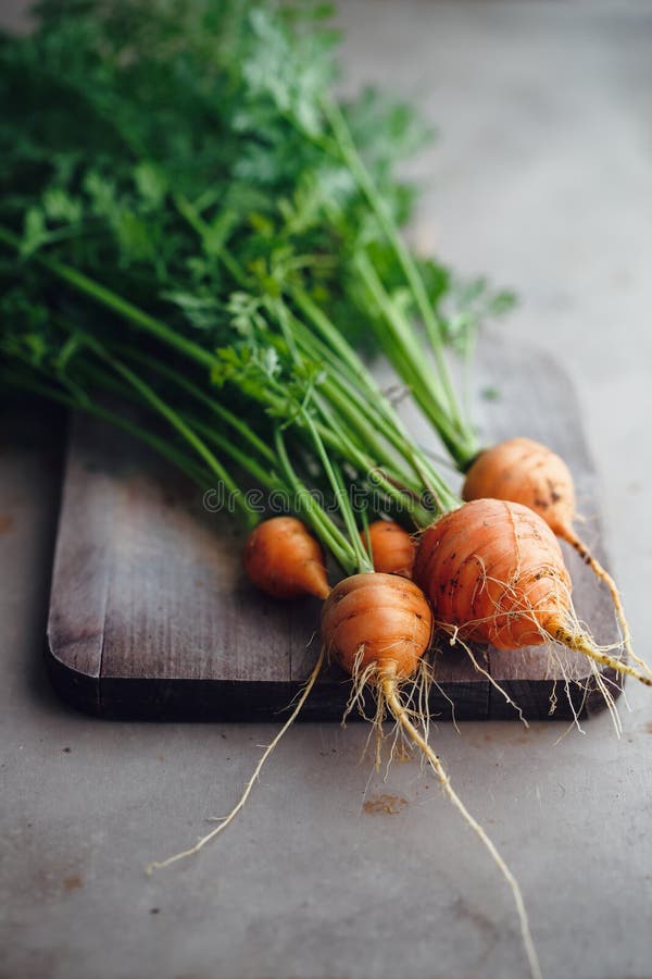 Small Round Carrots stock photo. Image of board, food - 75491108