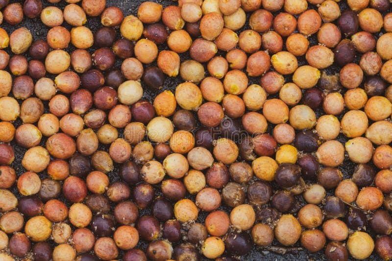 Small Round Fruits on a Surface Stock Image - Image of ripe, market ...