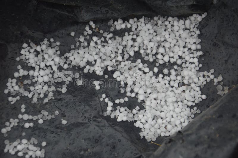 A Small Round Hail of Ice Fell Stock Photo - Image of temperature, cold ...