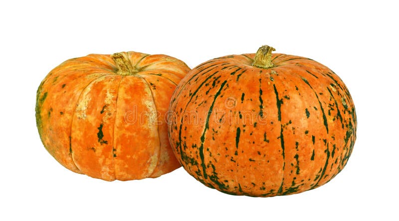 Small Round Orange and Green Pumpkins Isolated on White Stock Photo ...