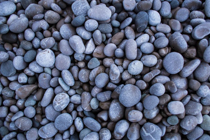 Small Round Pebbles on the Seashore Stock Photo - Image of decorative ...
