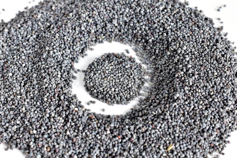Small round poppy seeds. stock photo. Image of grain - 369237806