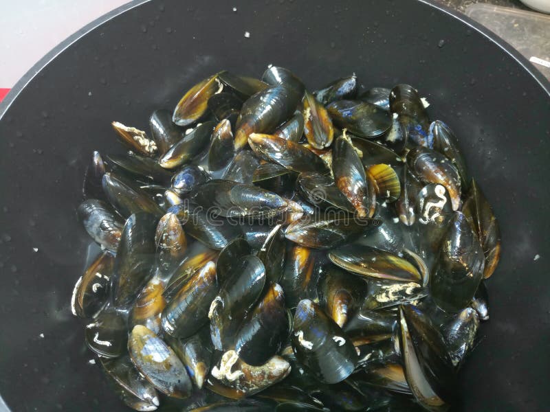 Hot Opened Mussel Shells with Mussels Cooking Stock Photo - Image of ...