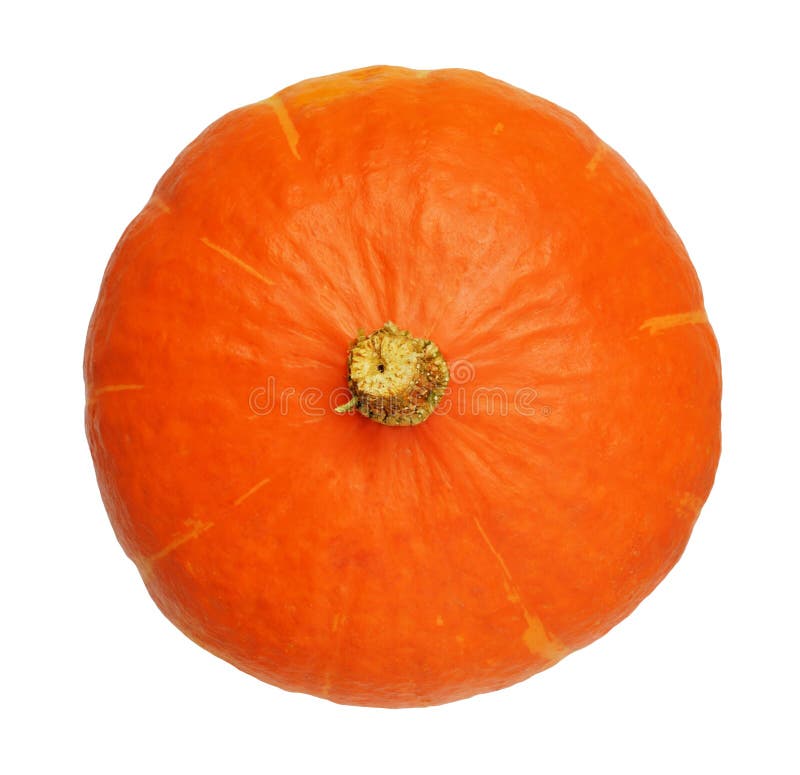 Small Round Pumpkin. Top View. Stock Photo - Image of fresh, halloween ...