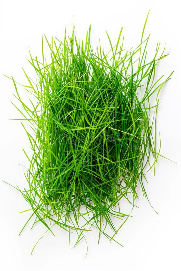 A Small, Rounded Ball of Grass Sitting on a White Surface Stock Photo ...