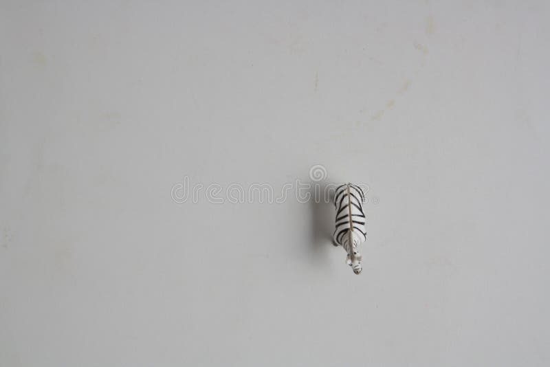 Small Rubber Zebra Toy Isolated on a White Background Stock Photo ...