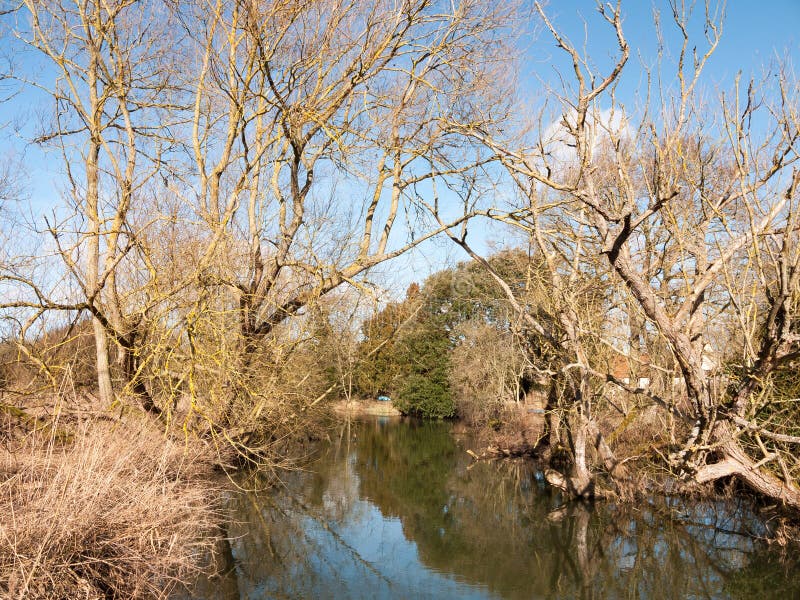 Small Running Stream River through Countryside Spring Bare Trees ...
