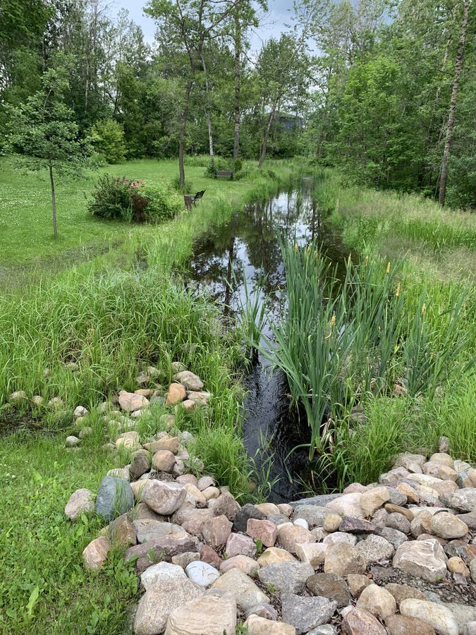 Small running water stock photo. Image of leaf, vegetation - 189407594