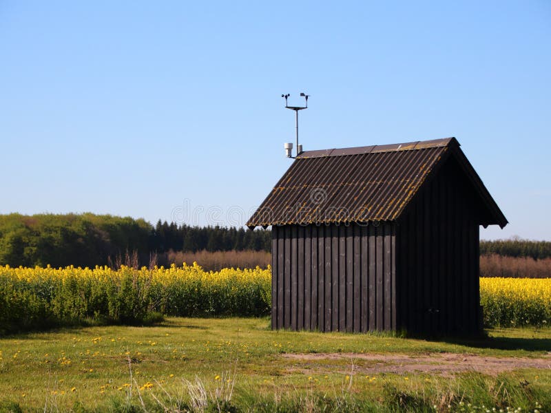 Small Rural Shack at Yellow Field Stock Photo - Image of fresh ...