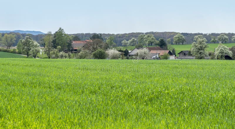 Small rural village stock photo. Image of peaceful, southern - 180687718
