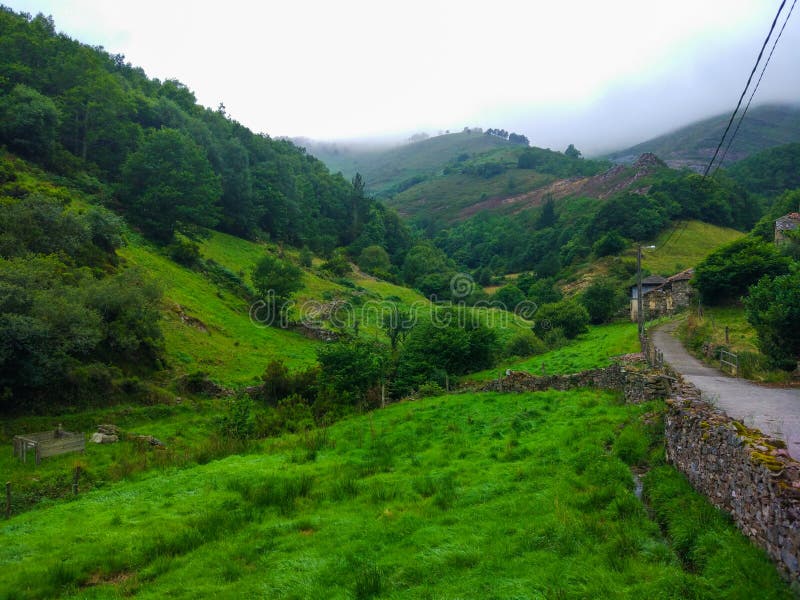 Small Rural Way in Middle of a Green Grass Valley and Fields in Stock ...