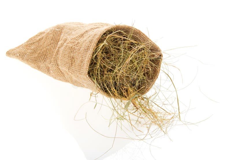 Small sack with the hay stock photo. Image of sack, yellow - 42070804