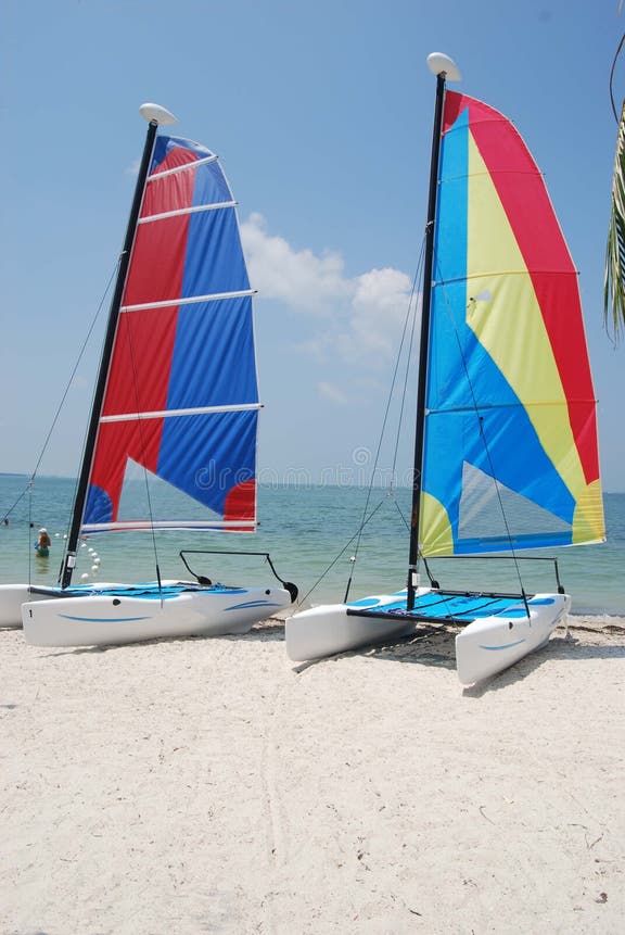 Small Sailing Catamarans stock photo. Image of sails, biscayne - 7414116