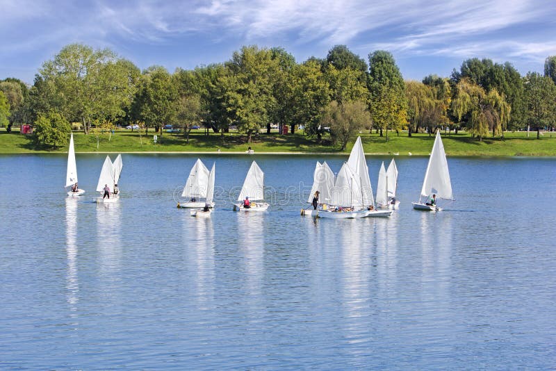 The Small Sailing Ships Regatta on the Lake Stock Photo - Image of lake ...